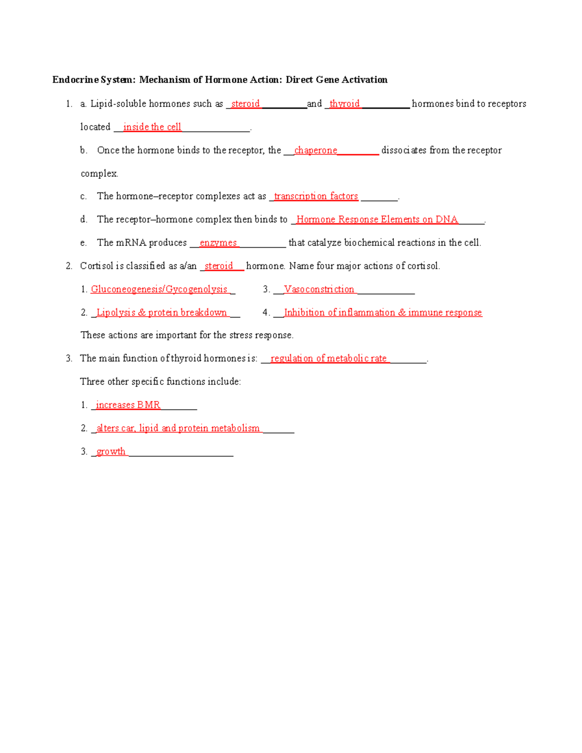 Direct Gene Activation- Worksheet - Endocrine System: Mechanism of ...