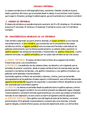 Boca y Faringe - Texto obtenido del Rouviere - CAVIDAD ORAL O BUCAL Es ...
