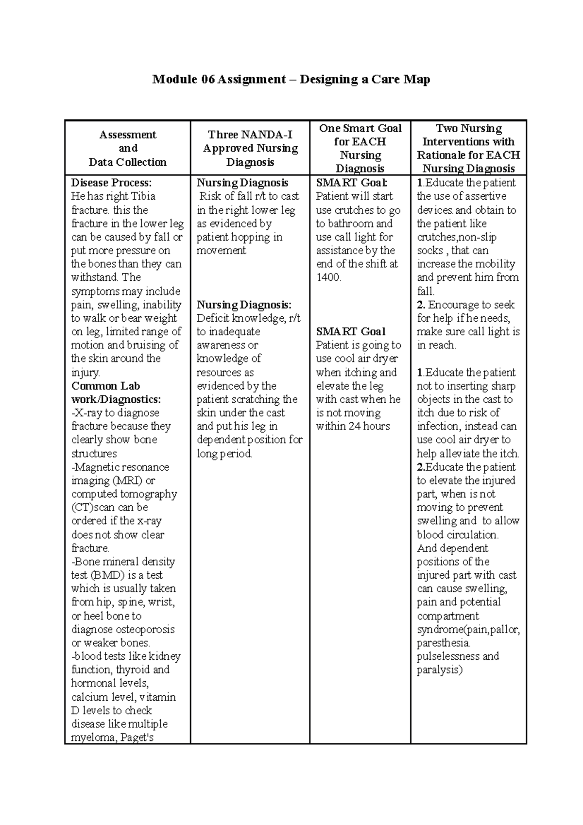 Module 06 Designing CARE - Module 06 Assignment – Designing a Care Map ...