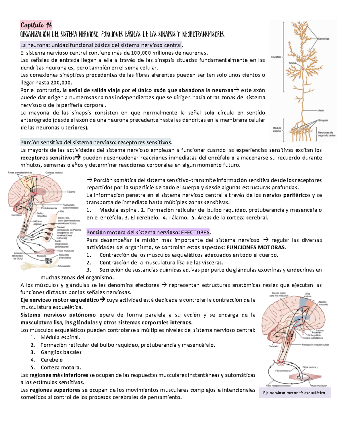 Capítulo 46 Guyton - Warning: TT: undefined function: 32 Warning: TT: undefined function: 32 ...