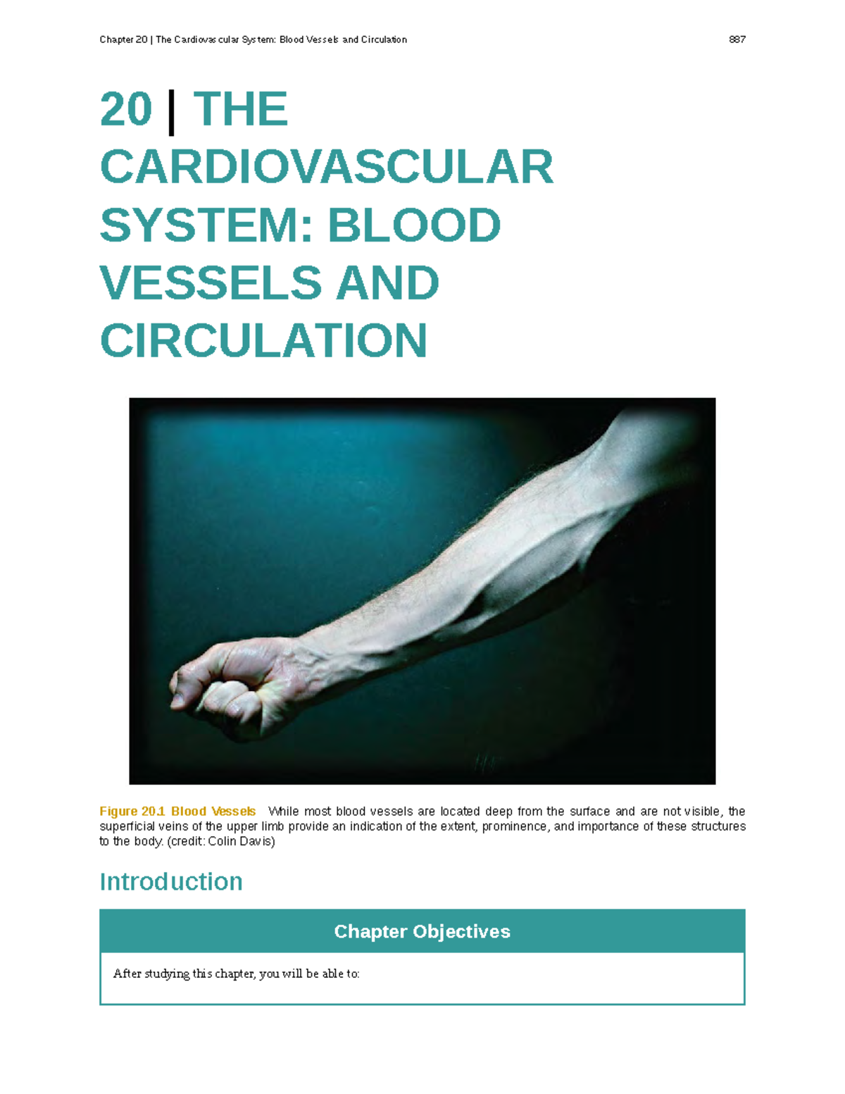 Chapter 20 - text - 20 | THE CARDIOVASCULAR SYSTEM: BLOOD VESSELS AND ...