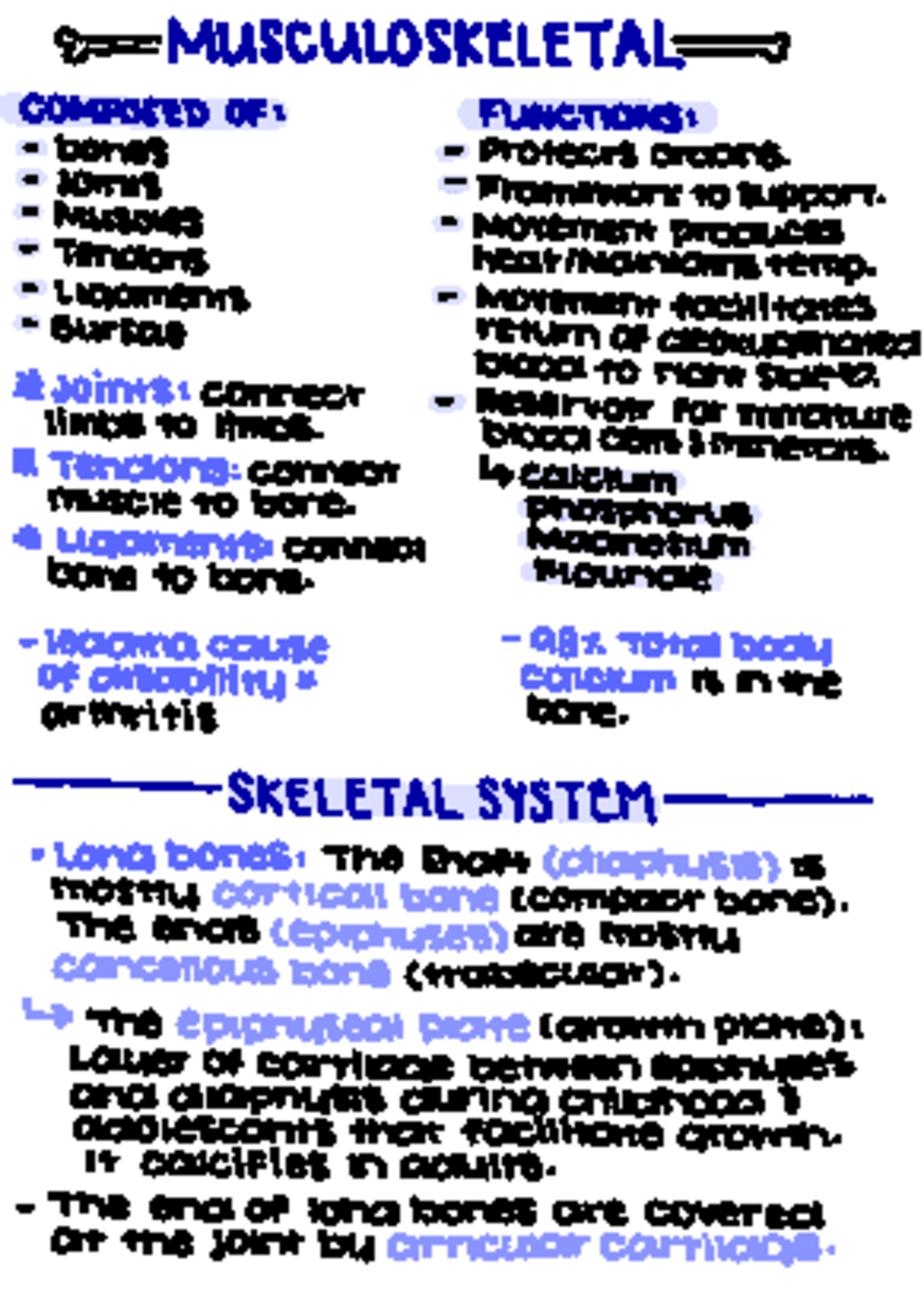 Detailed Musculoskeletal TEST NOTES- GET AN A! - ± ...