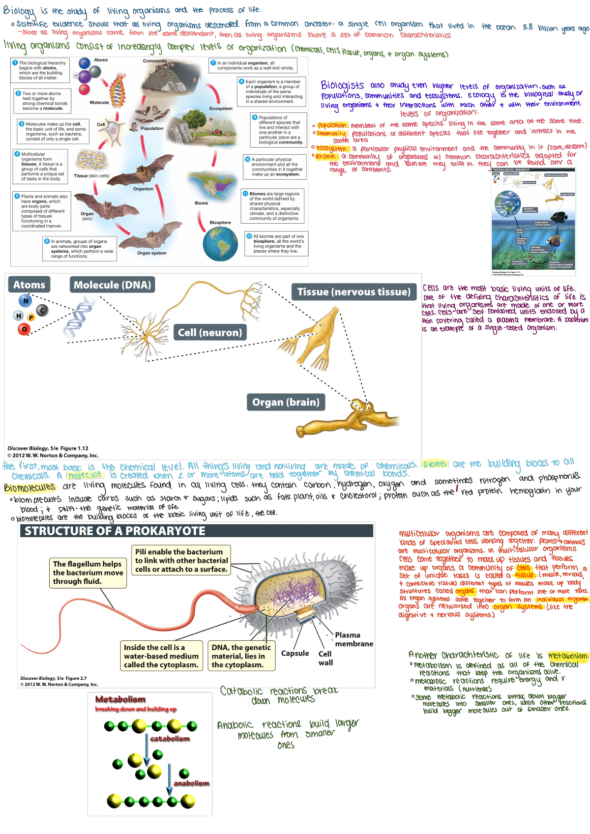 Biology for your life 1 - Chapter 1 notes - Biology is the study of ...