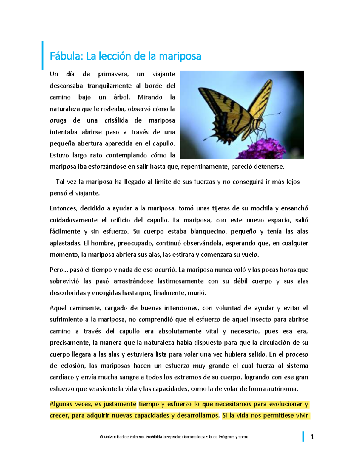 Fabula La Lección De La Mariposa Universidad De Palermo