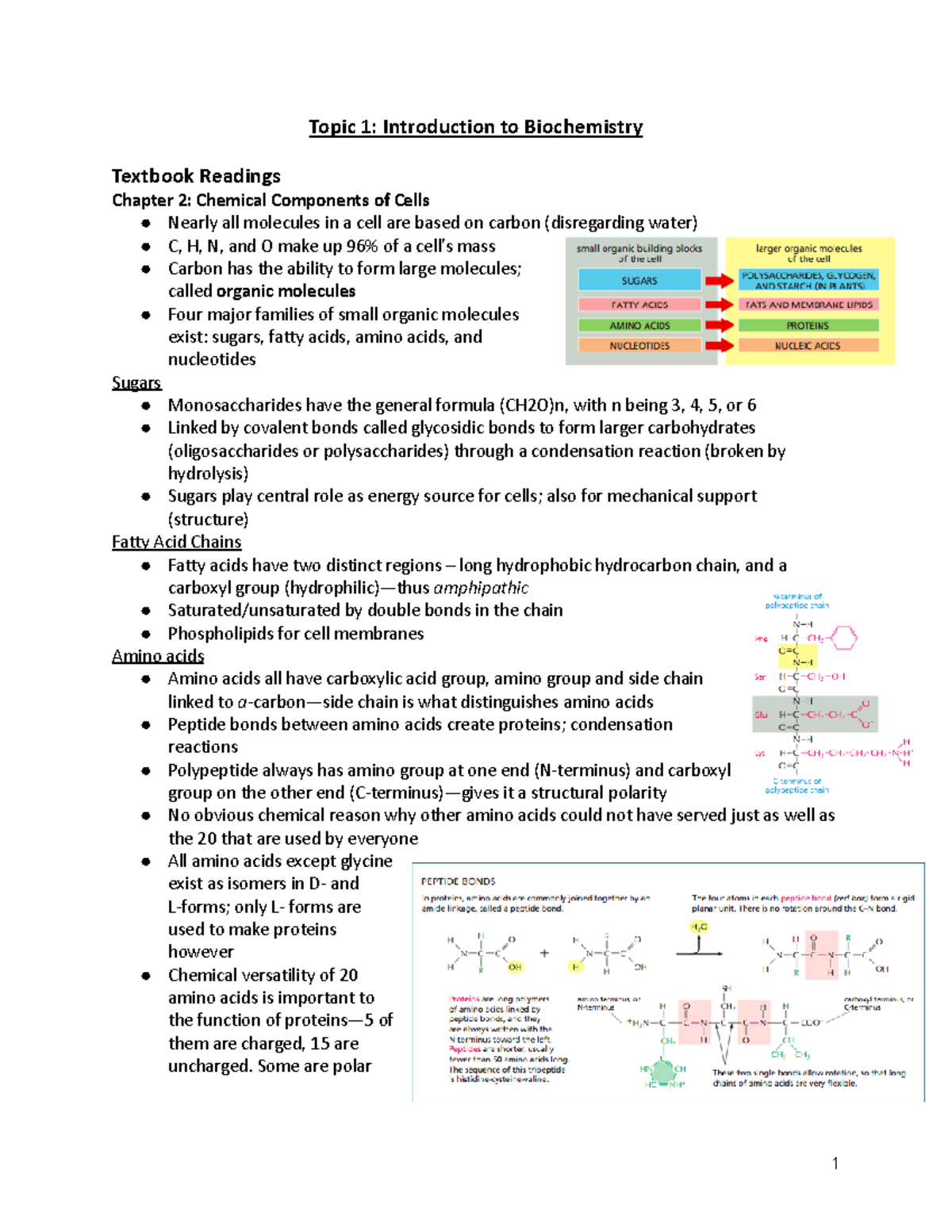 Biochemistry Midterm Lecture Notes - Biochemistry 2280A - UWO - Studocu