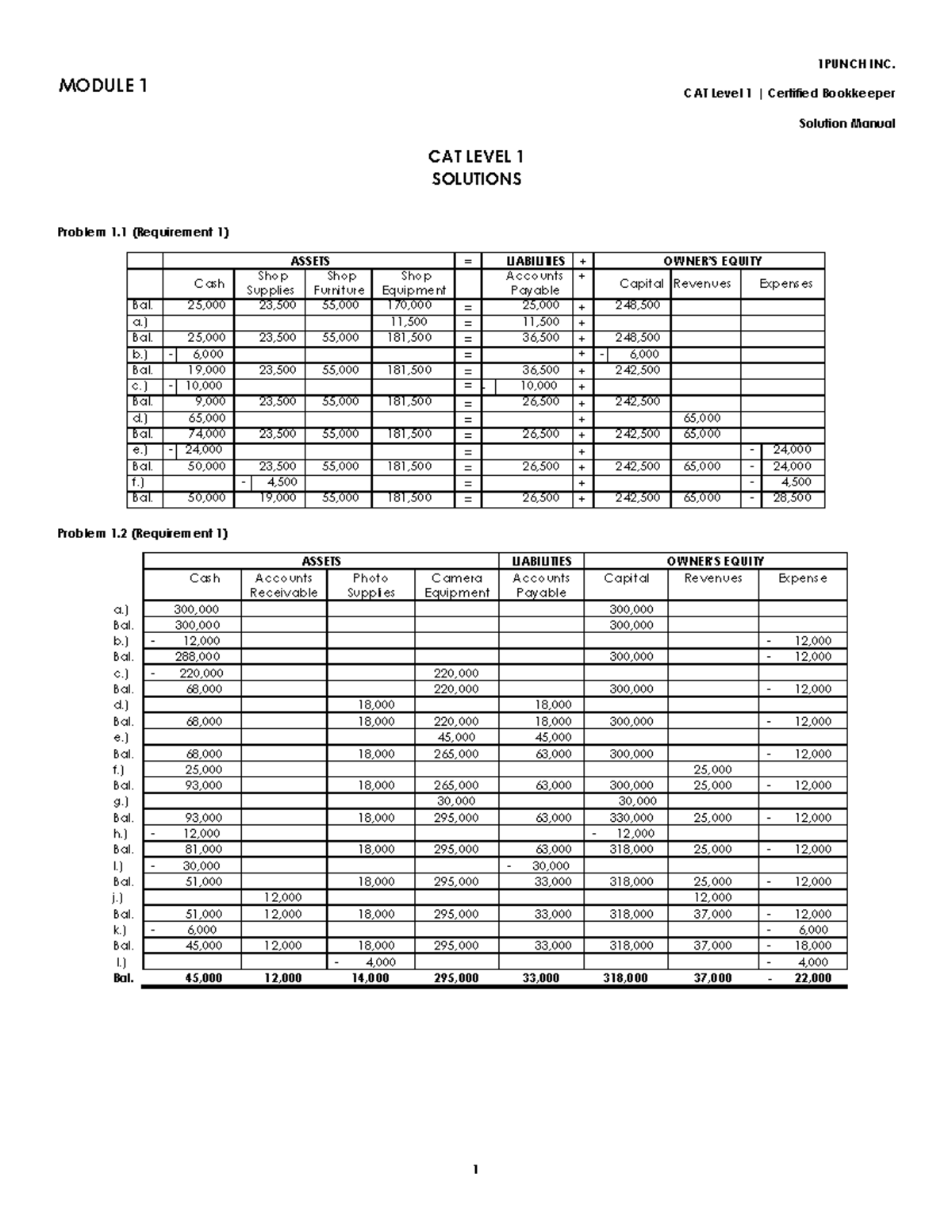 Solution Manual for Financial Accounting - CAT Level 1 | Certified ...