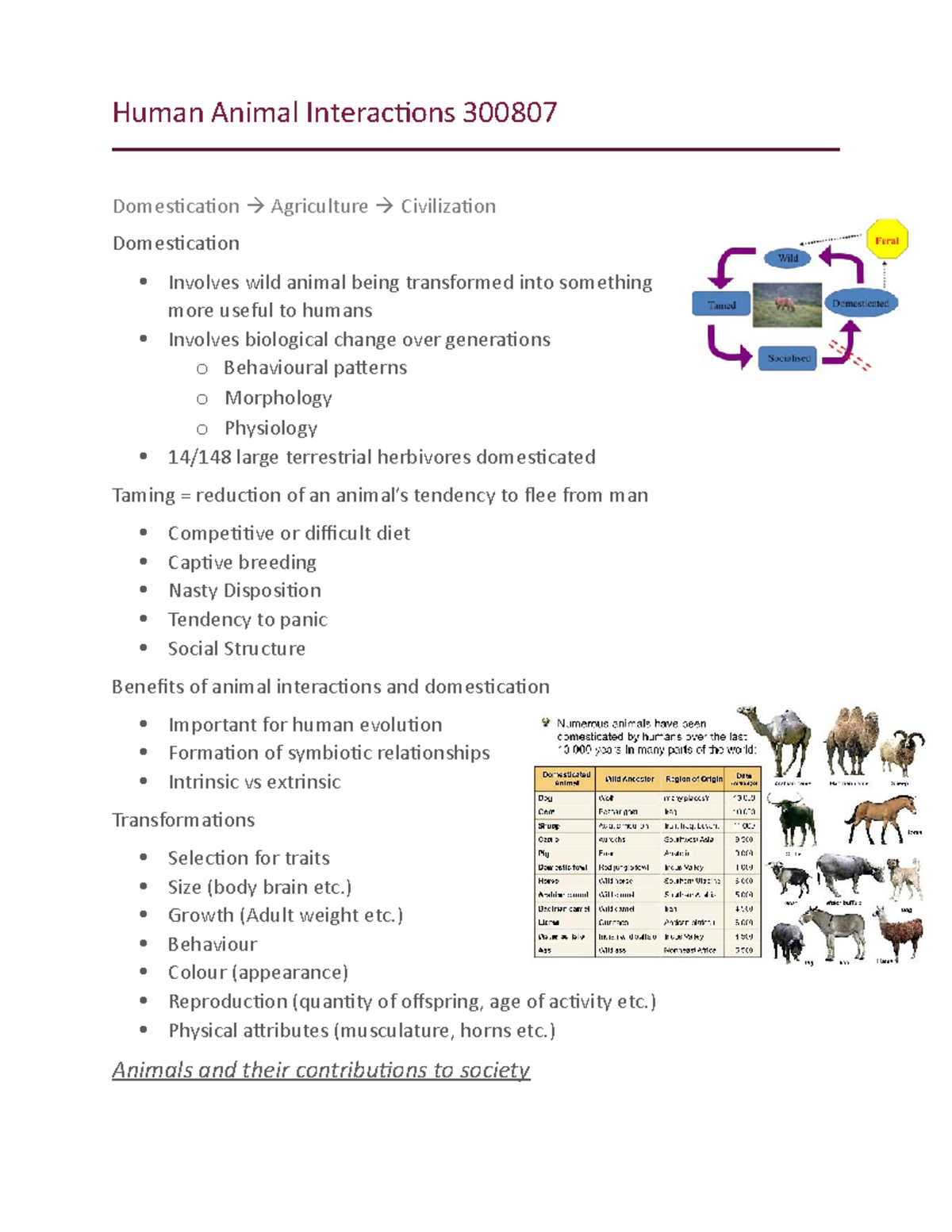 Human Animal Interactions 300807 - Human Animal Interactions 300807 ...