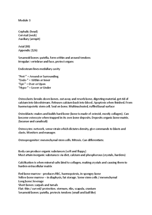 Digestive System - Module 3 - Digestive System Structures Digestive ...