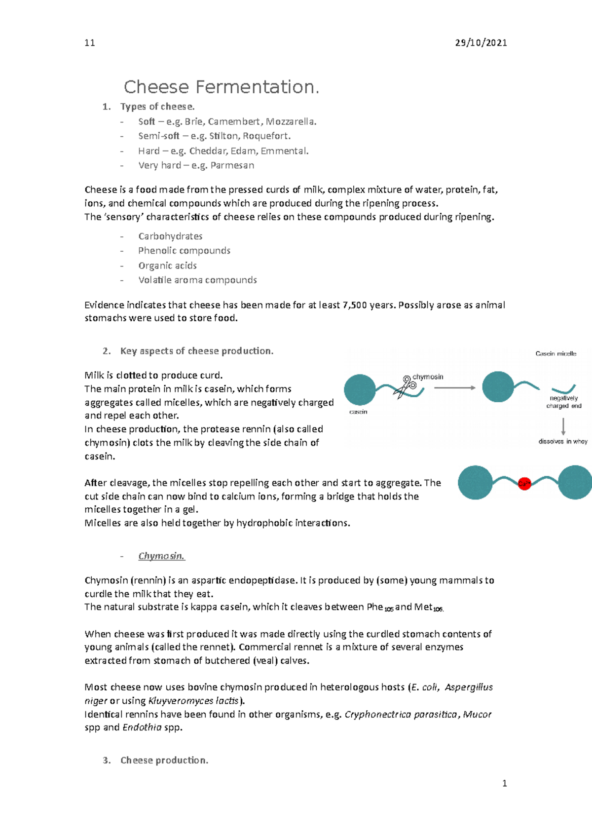 Cheese fermentation - 1. Types of cheese. - Soft – e. Brie, Camembert ...