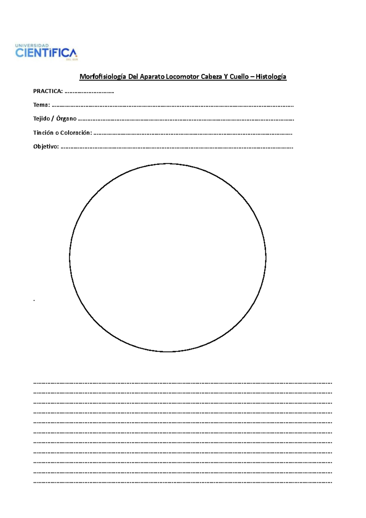 Formato histo morfo 2 - Morfofisiología Del Aparato Locomotor Cabeza Y Cuello – Histología ...