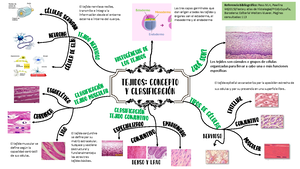 B19 - hvhvv - Licencia CC BY-NC 4. N.º 19 | JUL-DIC 2023 | ISSN: 2448 ...