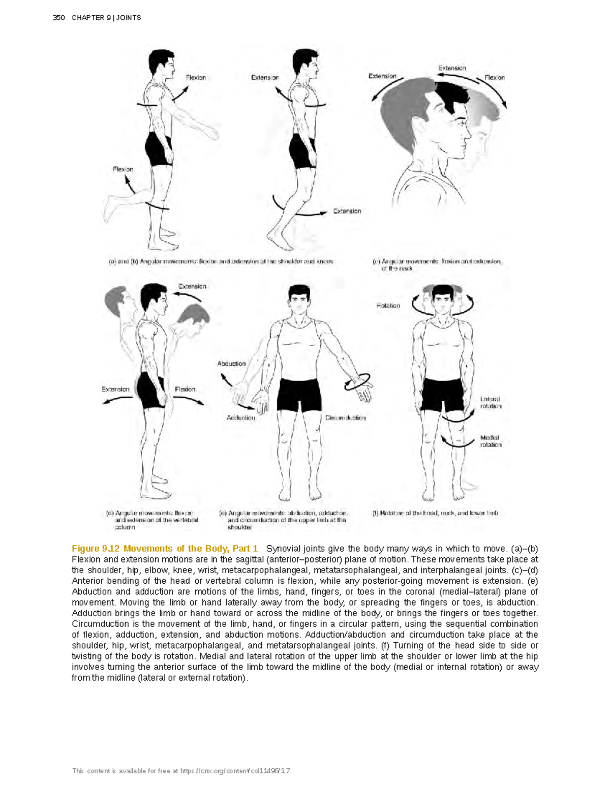 Anatomy-physiology-120 - Figure 9 Movements of the Body, Part 1 ...