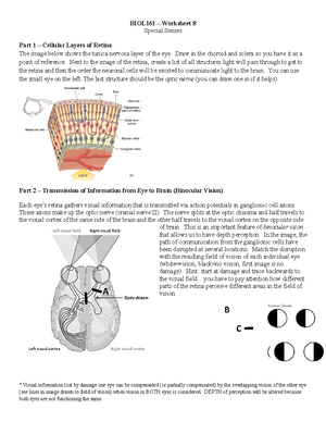 BIOL102 - Portfolio Project Directions and Rubric 2 - BIOL102 – General ...