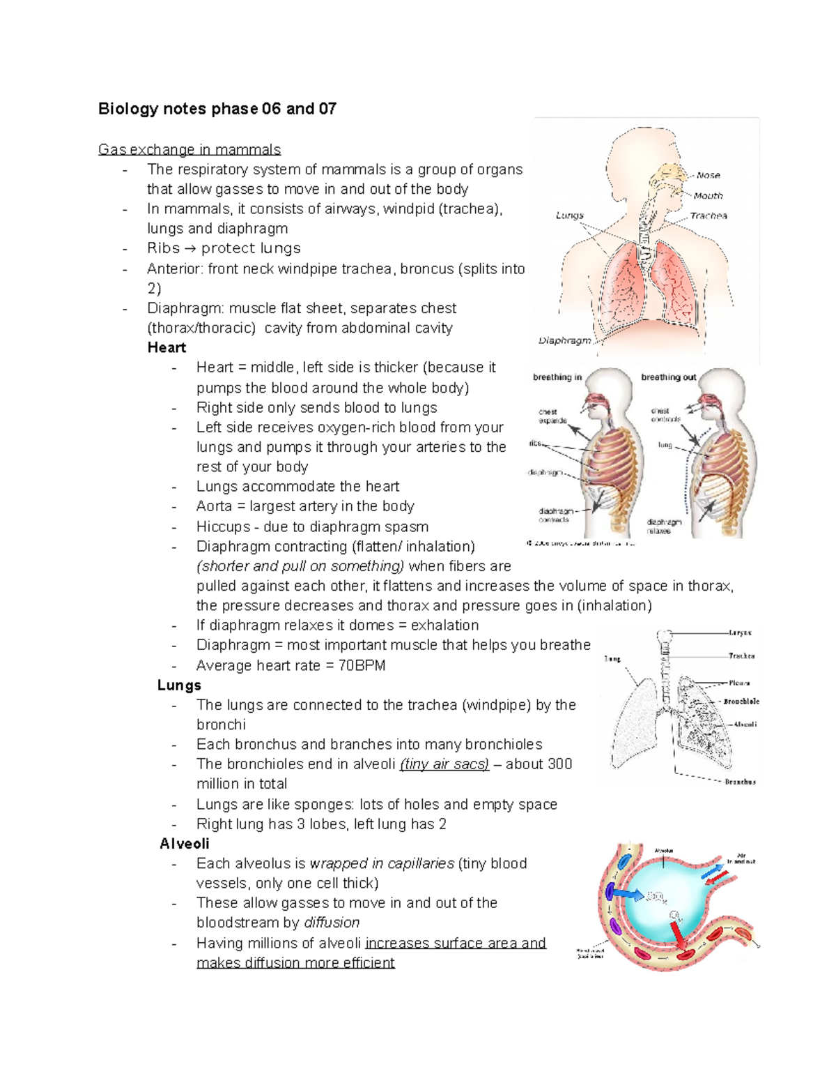 Biology notes phase 06 and 07 - Biology notes phase 06 and 07 Gas ...
