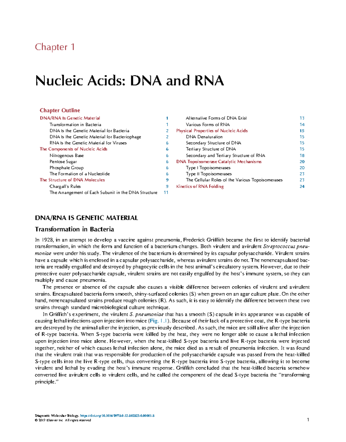 molecular biology chapter 1 - Chapter 1 Nucleic Acids: DNA and RNA ...