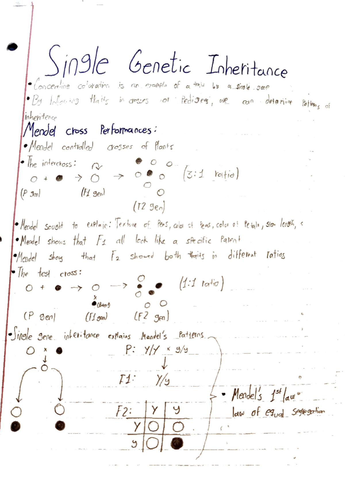Single genetic inheritance - GENETICS 467 - Studocu