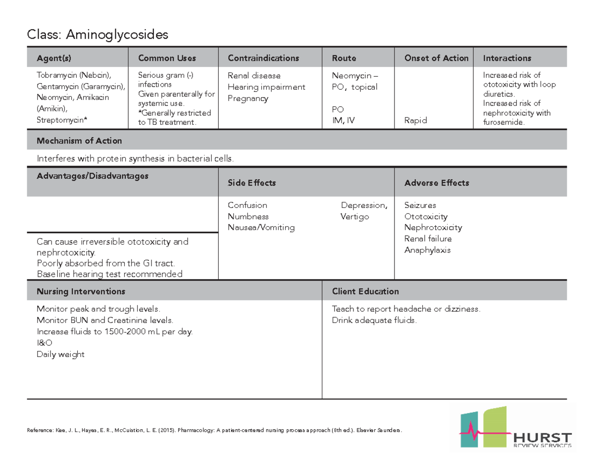 Common Uses and Contraindications of Aminoglycosides Metronidazole ...