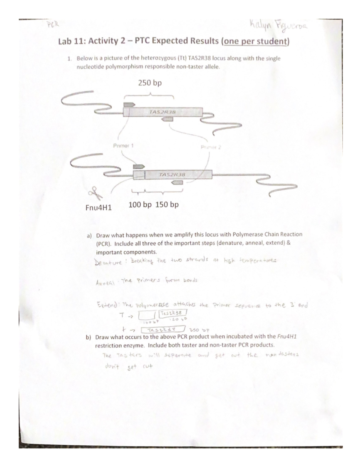 Lab 11 Activity 2 - PTC Expected Results (one per student) - PCB 3063C - Studocu