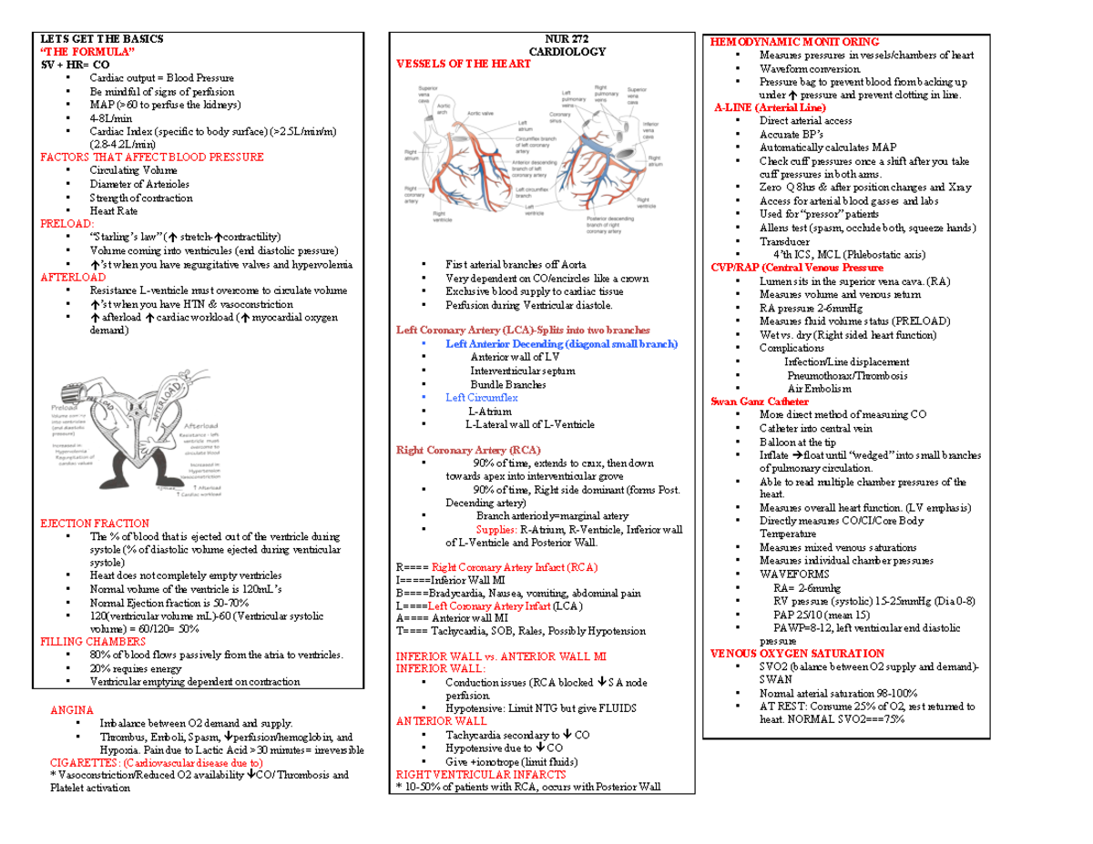 339563533 2007 39441 Cardiac Study Guide - NUR 272 CARDIOLOGY VESSELS ...