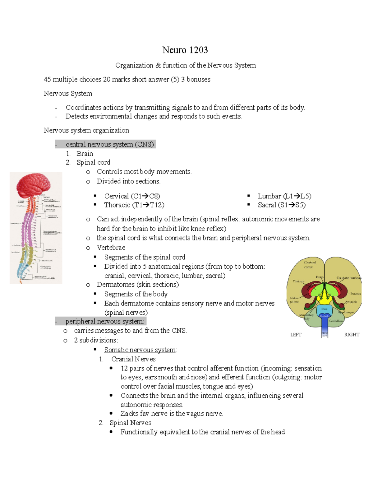 Neuro 1203 review 1 - yuh - Neuro 1203 Organization & function of the ...