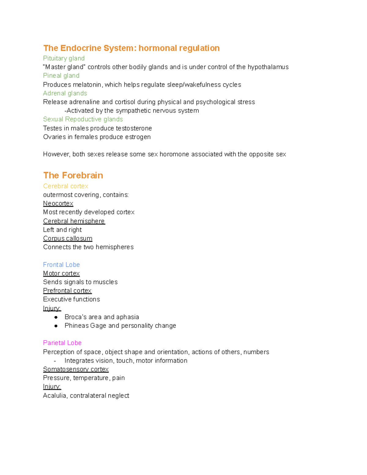 PSYC-105 Lecture Notes - The Endocrine System: hormonal regulation ...