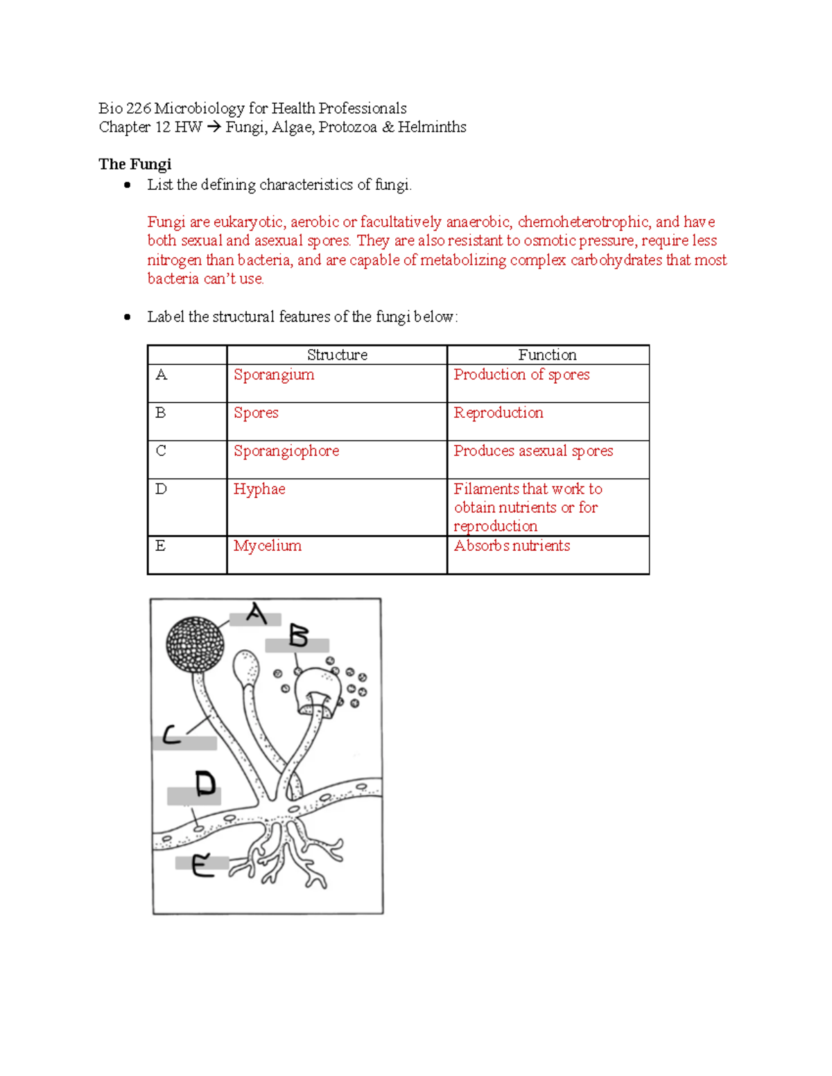 BIO-226 Week 3 Homework - Bio 226 Microbiology for Health Professionals ...