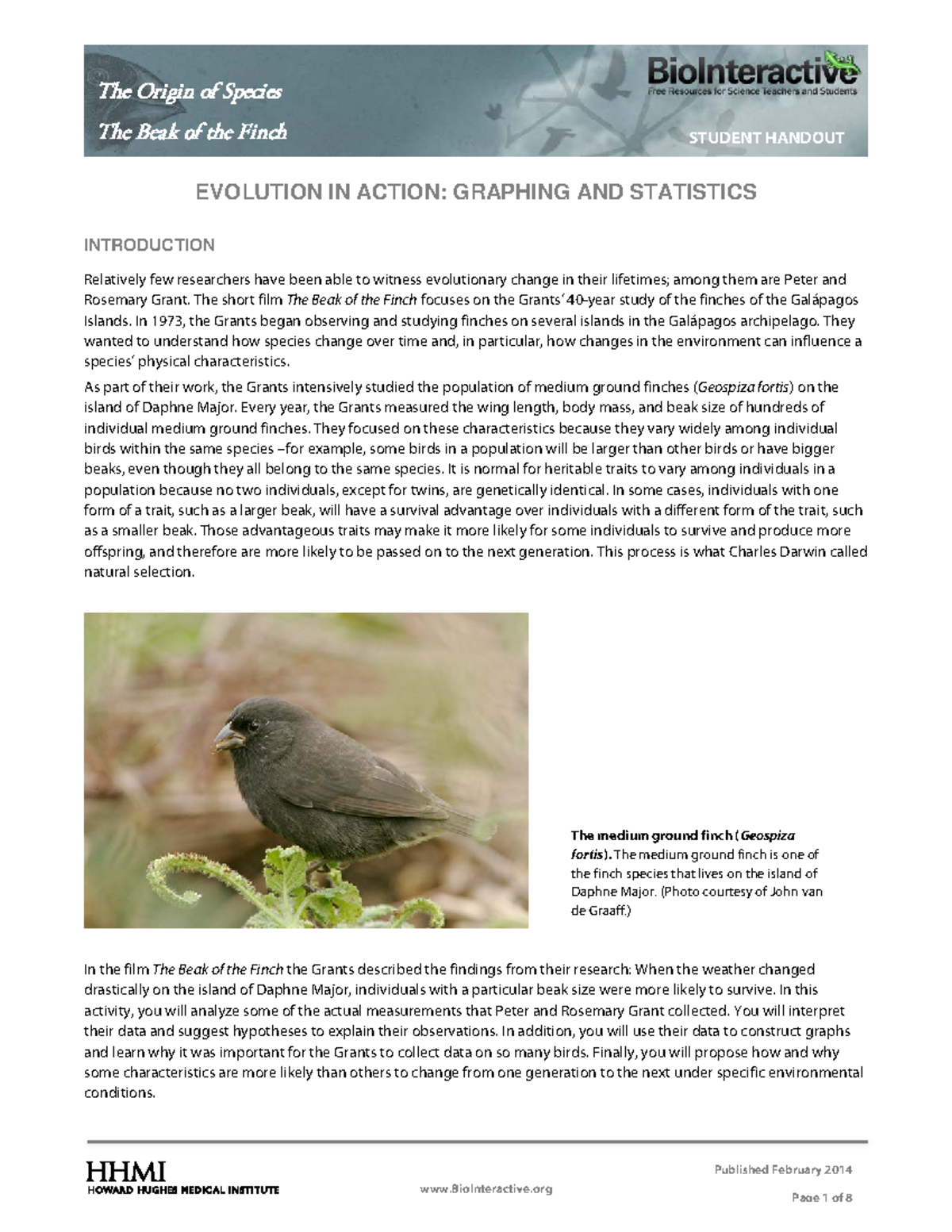 Beak+of+Finch+Activity - The Making of the Fittest: Natural Selection ...