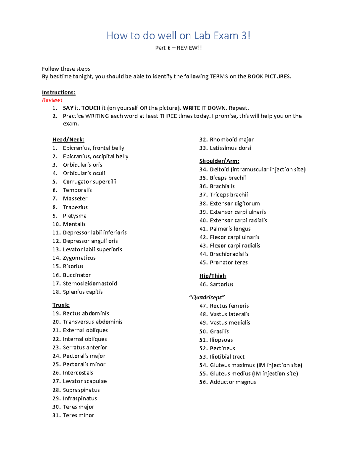 Successful Studying for Lab Exam 3 part 6 - How to do well on Lab Exam ...
