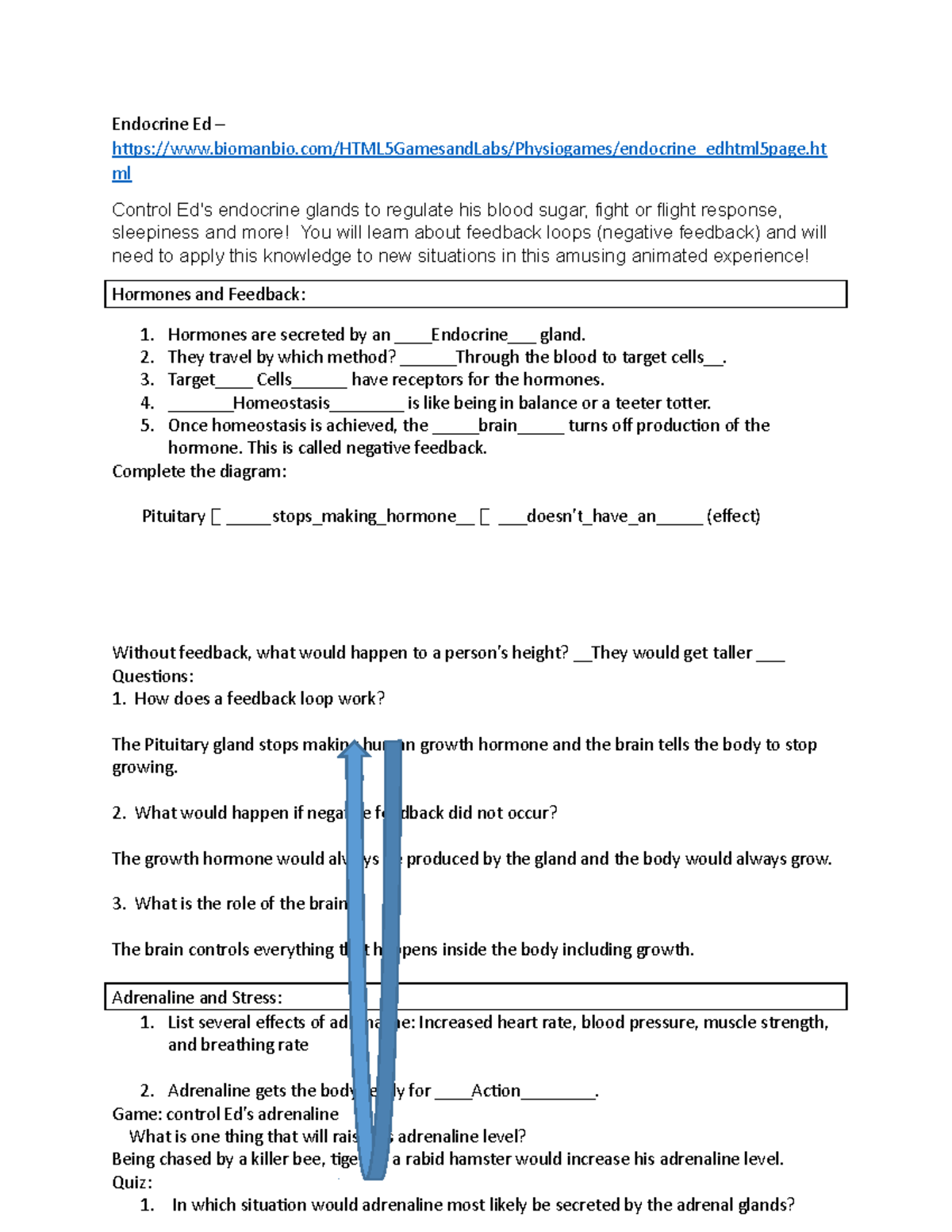 Endocrine Ed Worksheet Endocrine Ed Studocu