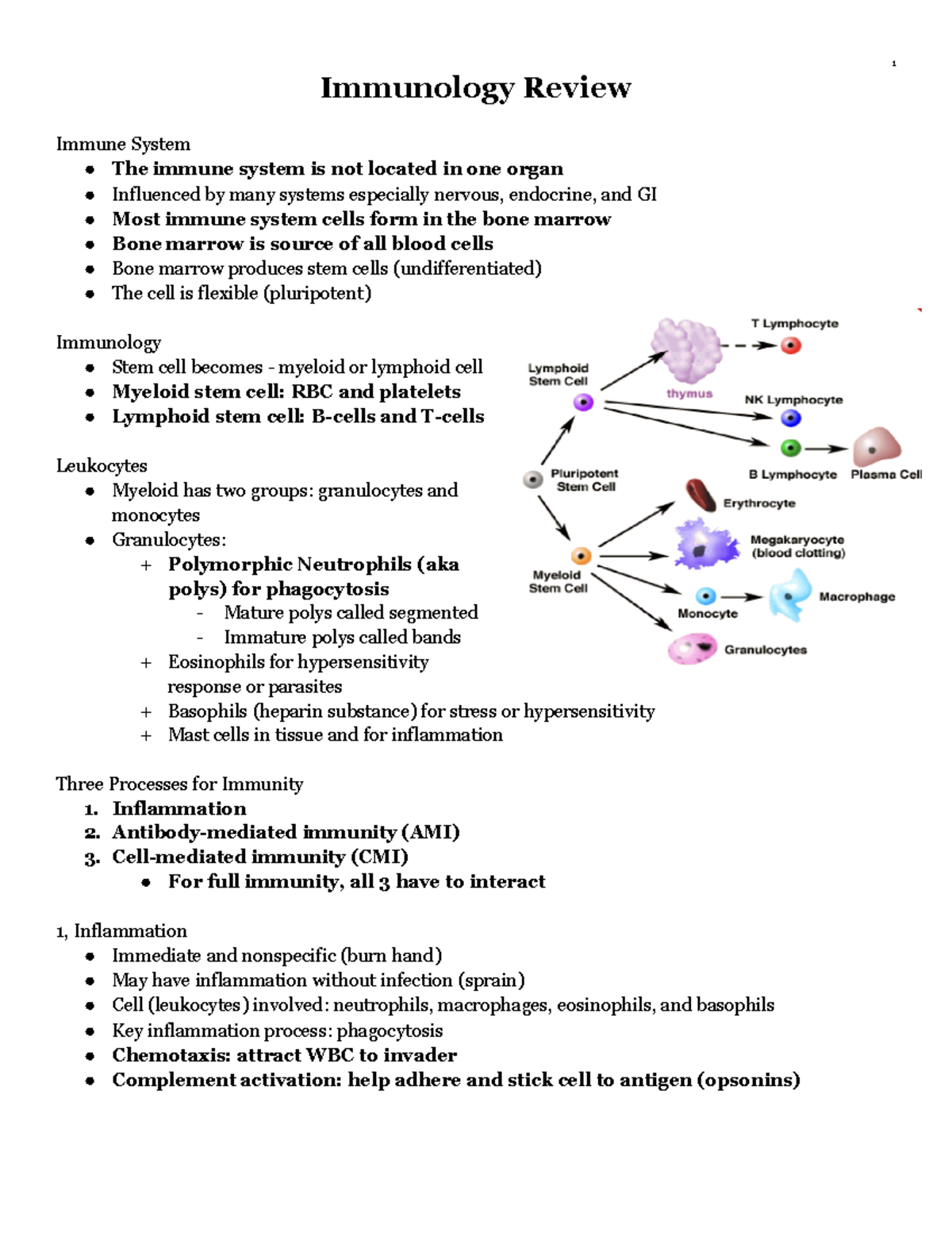 Immunology Review Notes - Week 3 - Immunology Review Immune System The ...
