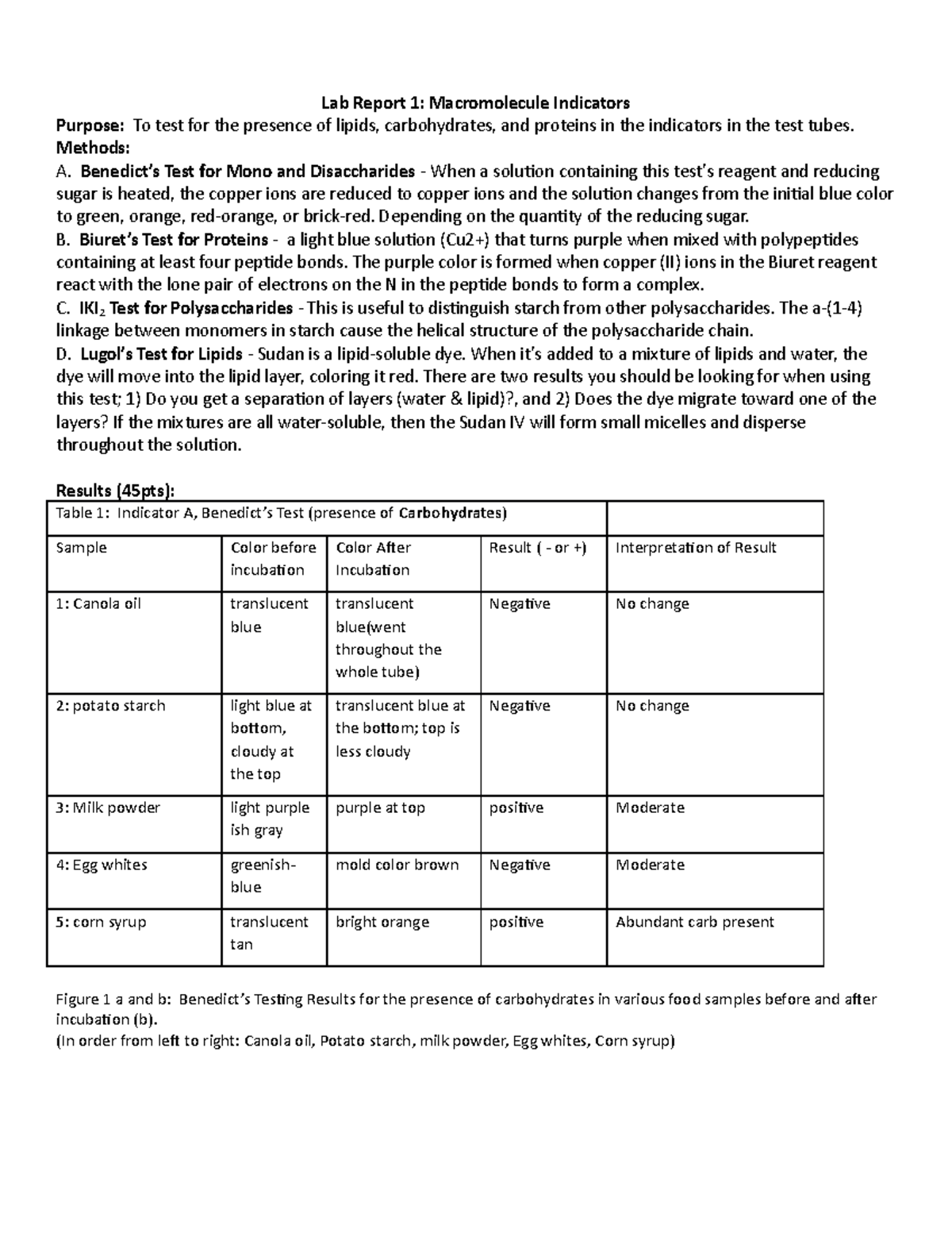 Bio1016 Lab Report - Nottle - Week 2 Macromolecule Indicators - Lab ...