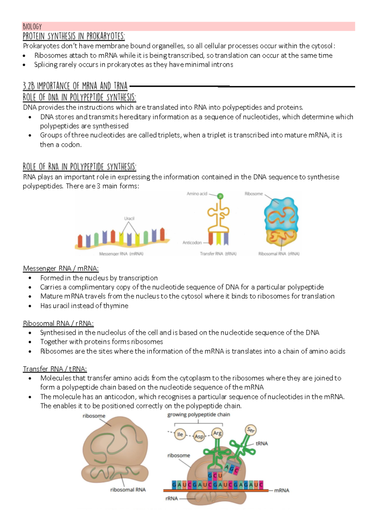 Full bio course-6 - Full bio course-6 - - Studocu