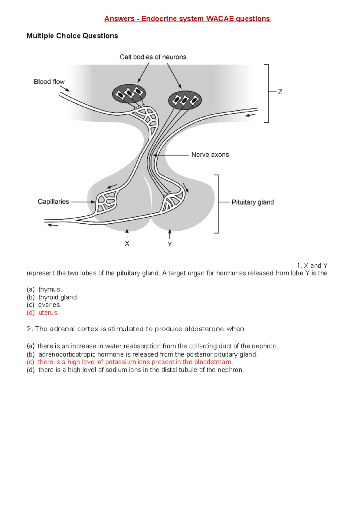Endocrine WACE qs Answers - Answers - Endocrine system WACAE questions ...