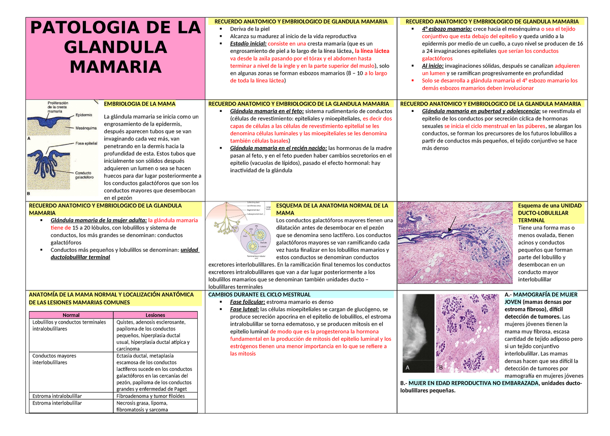 Patologia DE LA Glandula Mamaria - PATOLOGIA DE LA GLANDULA MAMARIA ...