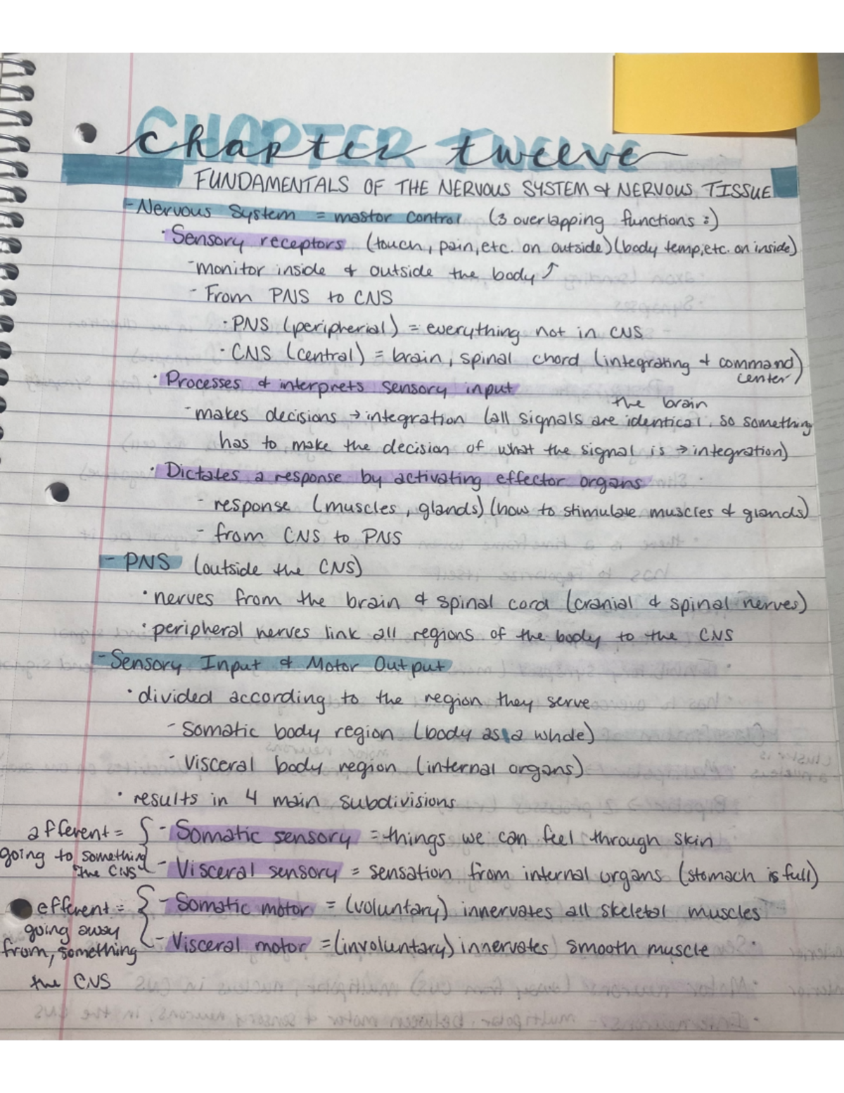 12 - Chapter 12 notes - HHP11000001 - Studocu