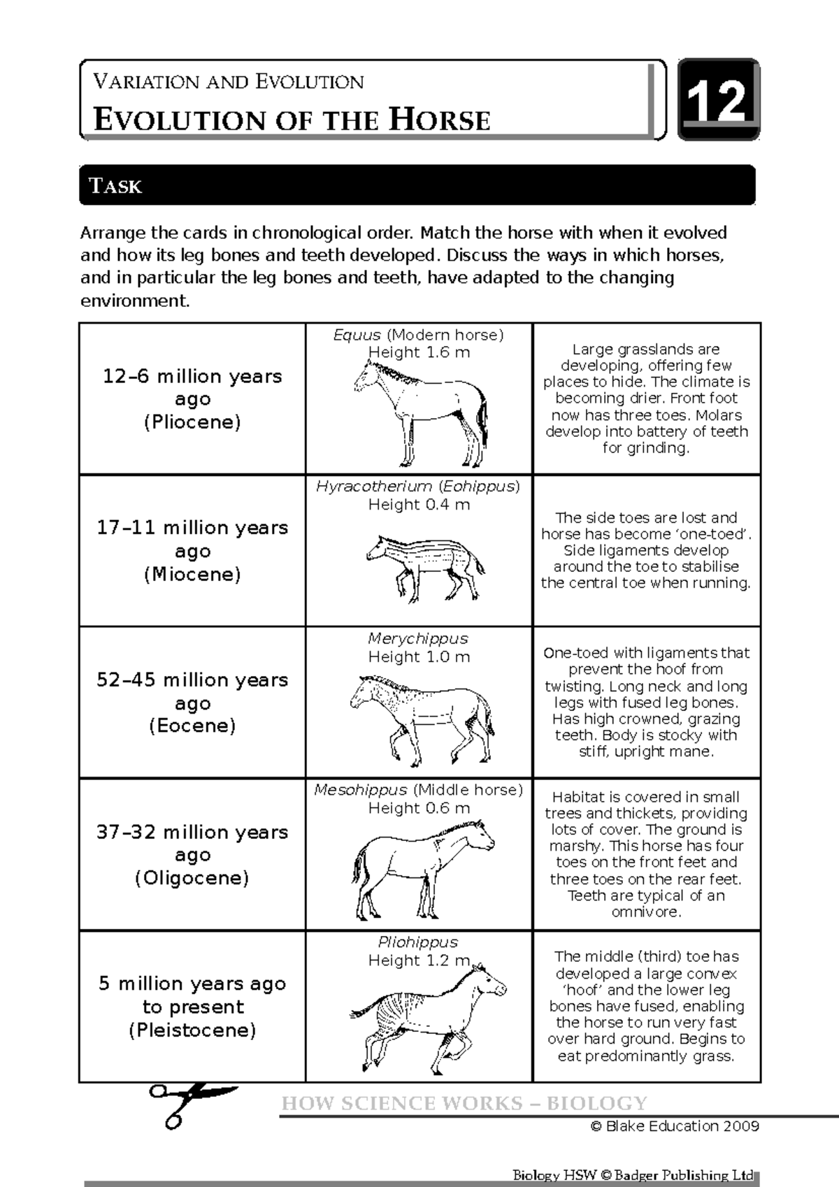 How Science Works evolution of the horse - VARIATION AND EVOLUTION ...