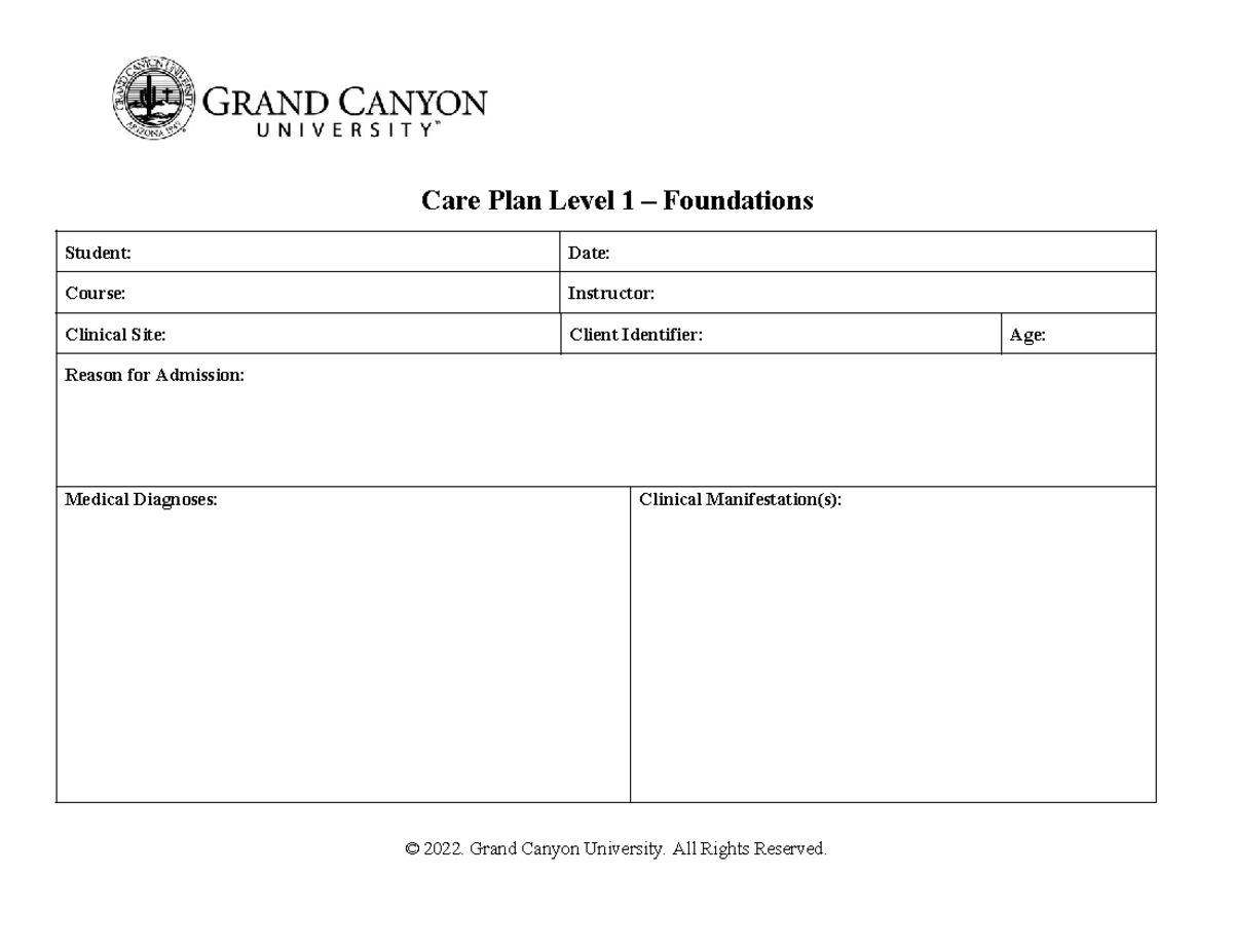 NSG-300CC-RS-Care-Plan-Level-1-Foundations-Template (1) - Care Plan Level 1 – Foundations ...