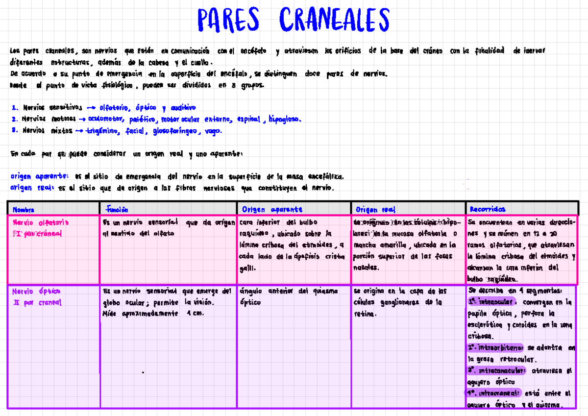 Pares Craneales - PARES CRANEAIES ####### Los pares craned / es , son ...