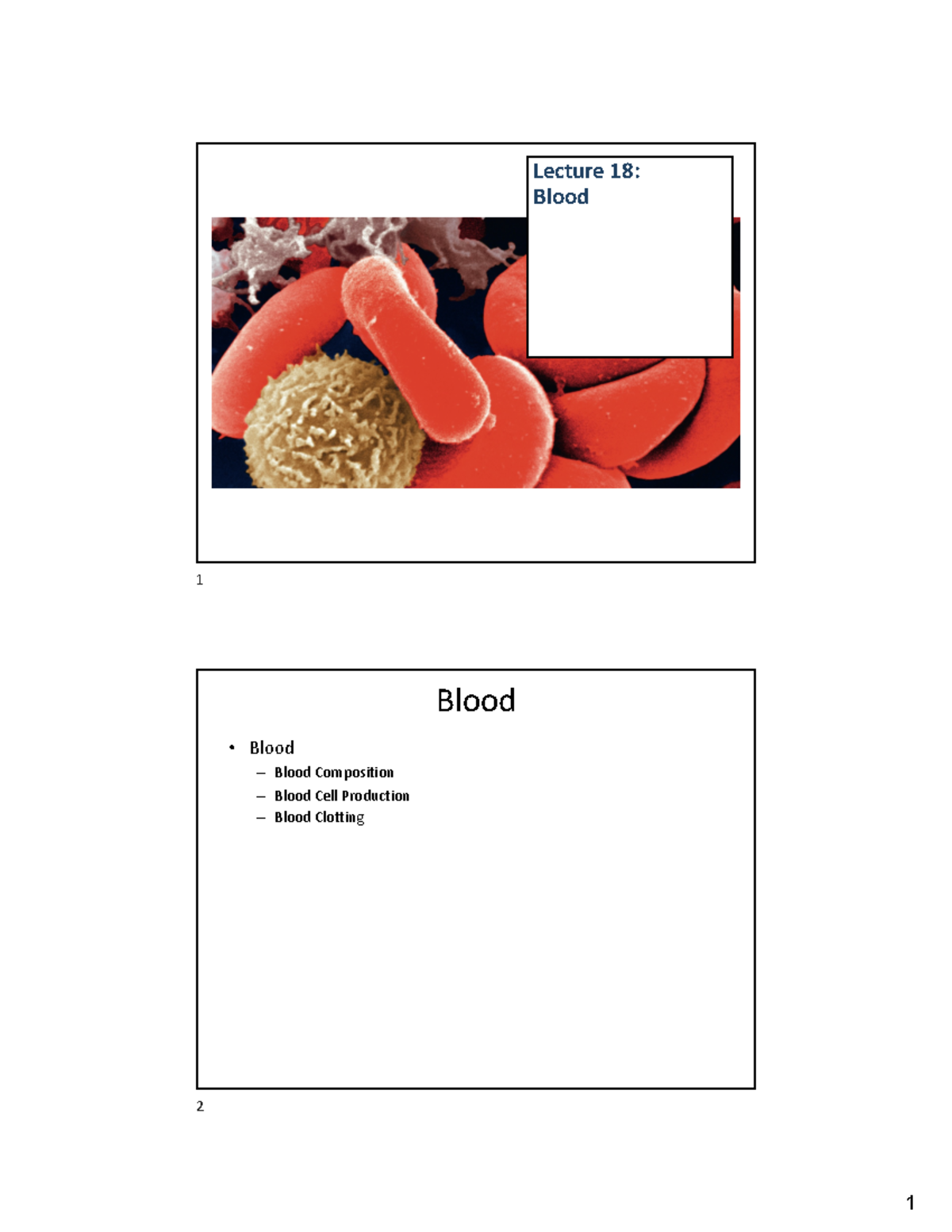 Lecture 18-Blood - This will help the students to succeed in physiology ...
