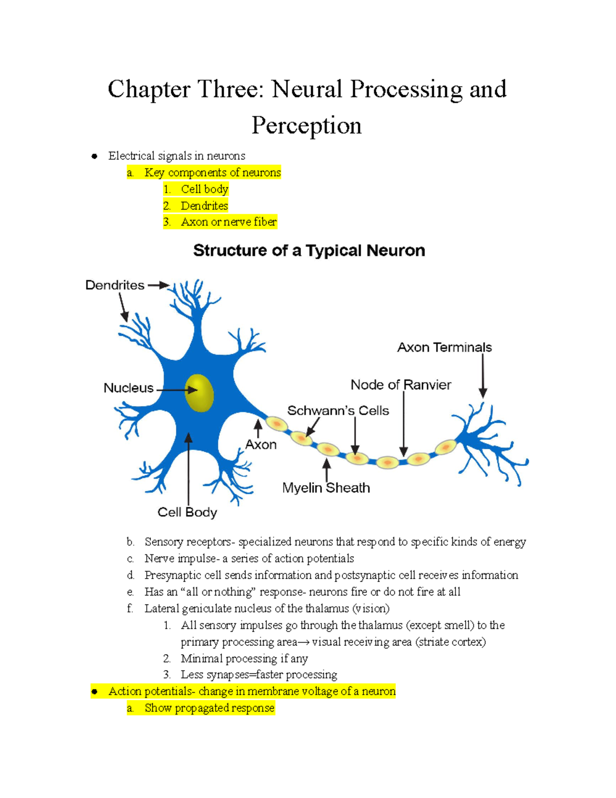 Sensation&Perception Ch - Chapter Three: Neural Processing and ...