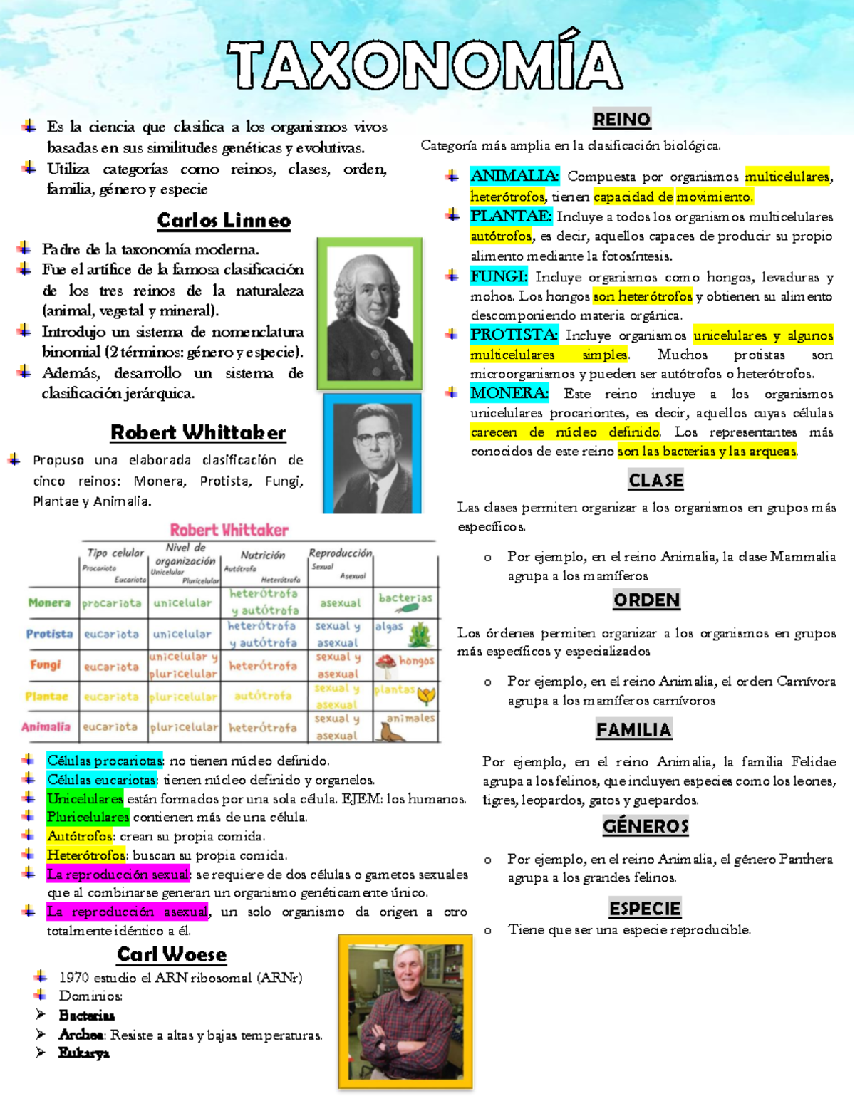 Taxonomia - Es la ciencia que clasifica a los organismos vivos basadas ...