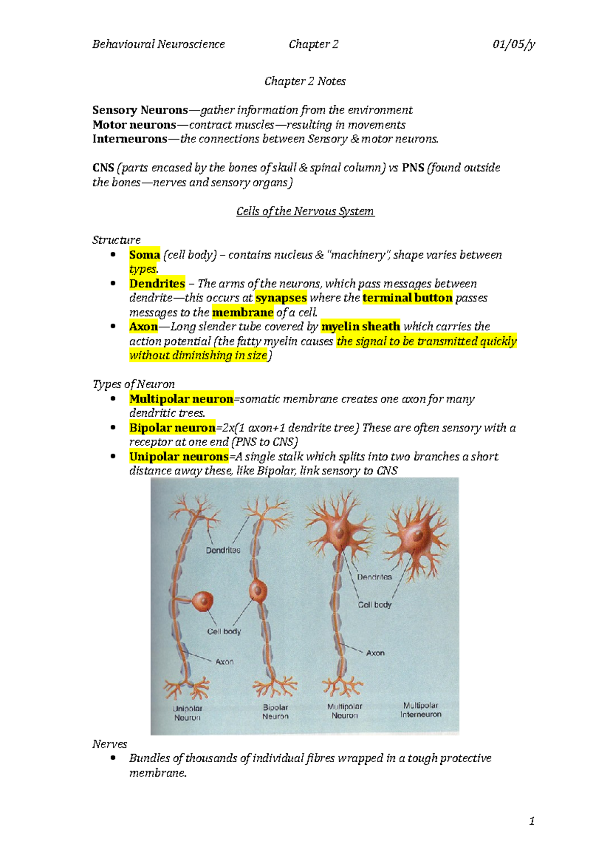 Behavioural Neuroscience Chapter 2 Notes - Studocu