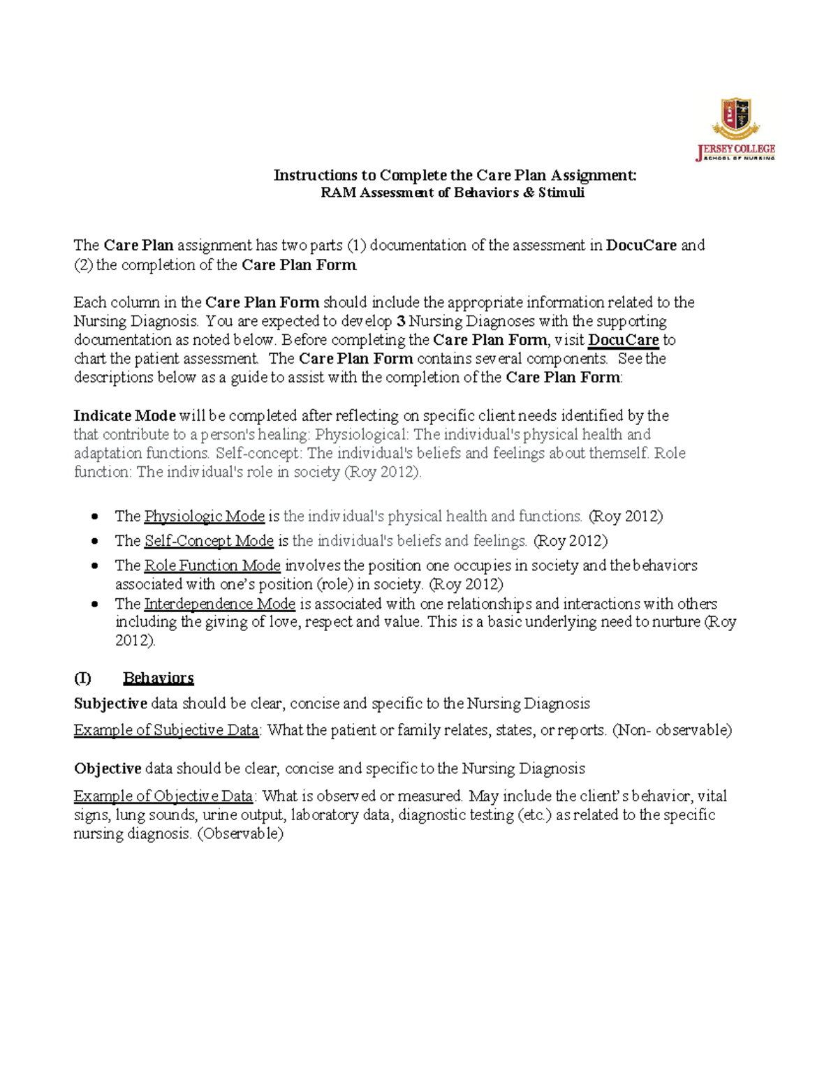 RN Instructions How to Complete the Care Plan Assignment - completion ...