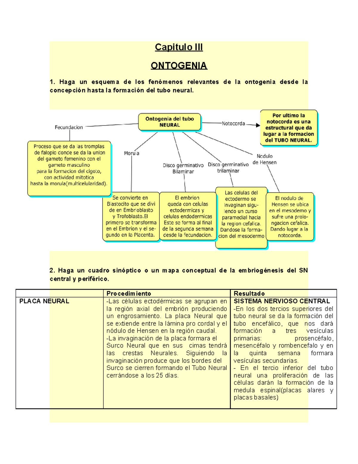 TEMA 3 ontogenia(portafolio) - Capitulo III ONTOGENIA 1. Haga un ...