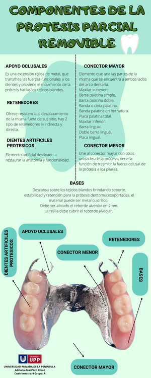Ácidos nucleicos - ART - Ensayo - ÁCIDOS NUCLEICOS. ÁCIDOS NUCLEICOS En ...