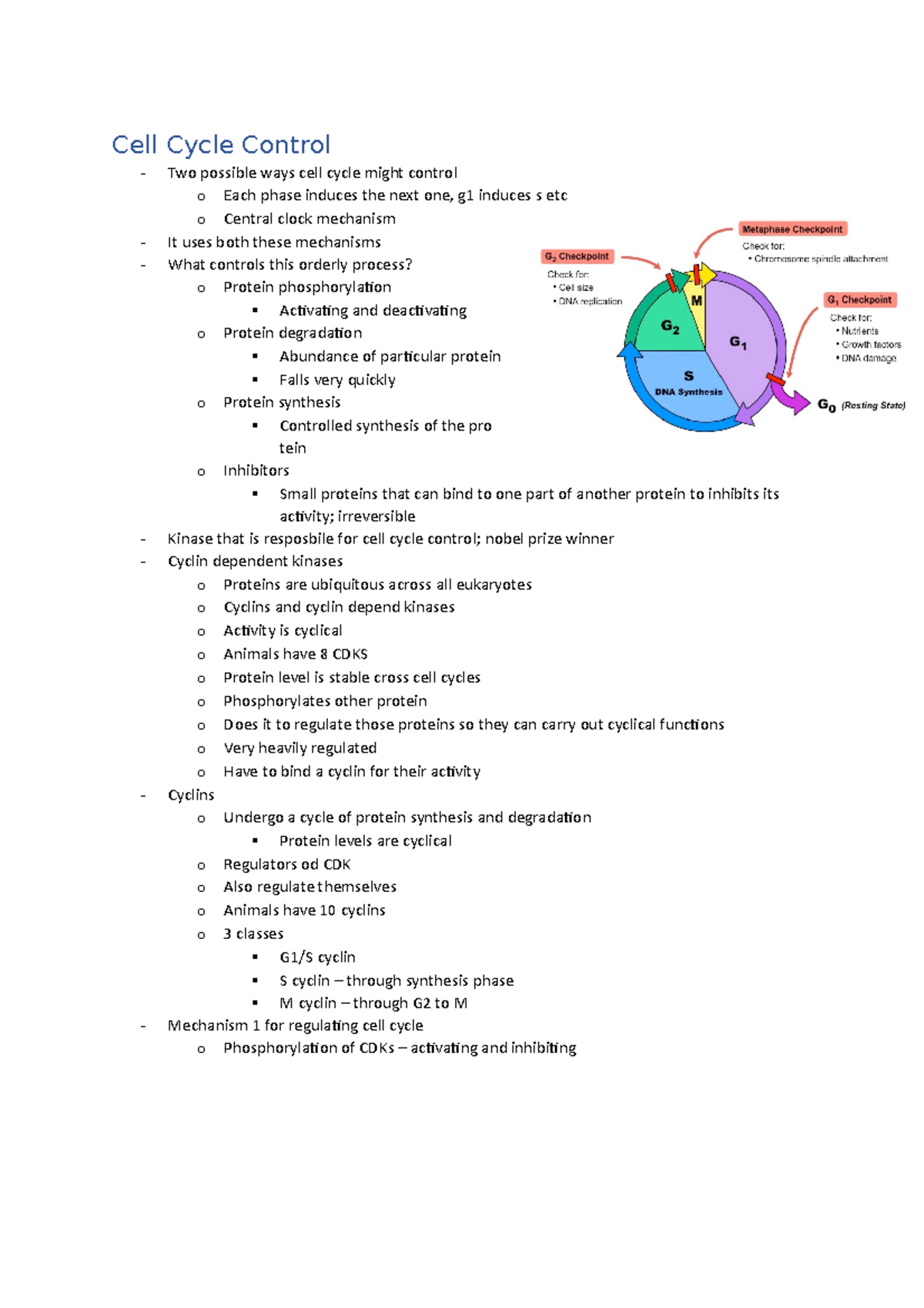 Cell Cycle Control - Cell Cycle Control Two possible ways cell cycle ...