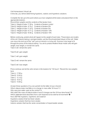 Histology Assignment - Histology lab activity Go through the power ...