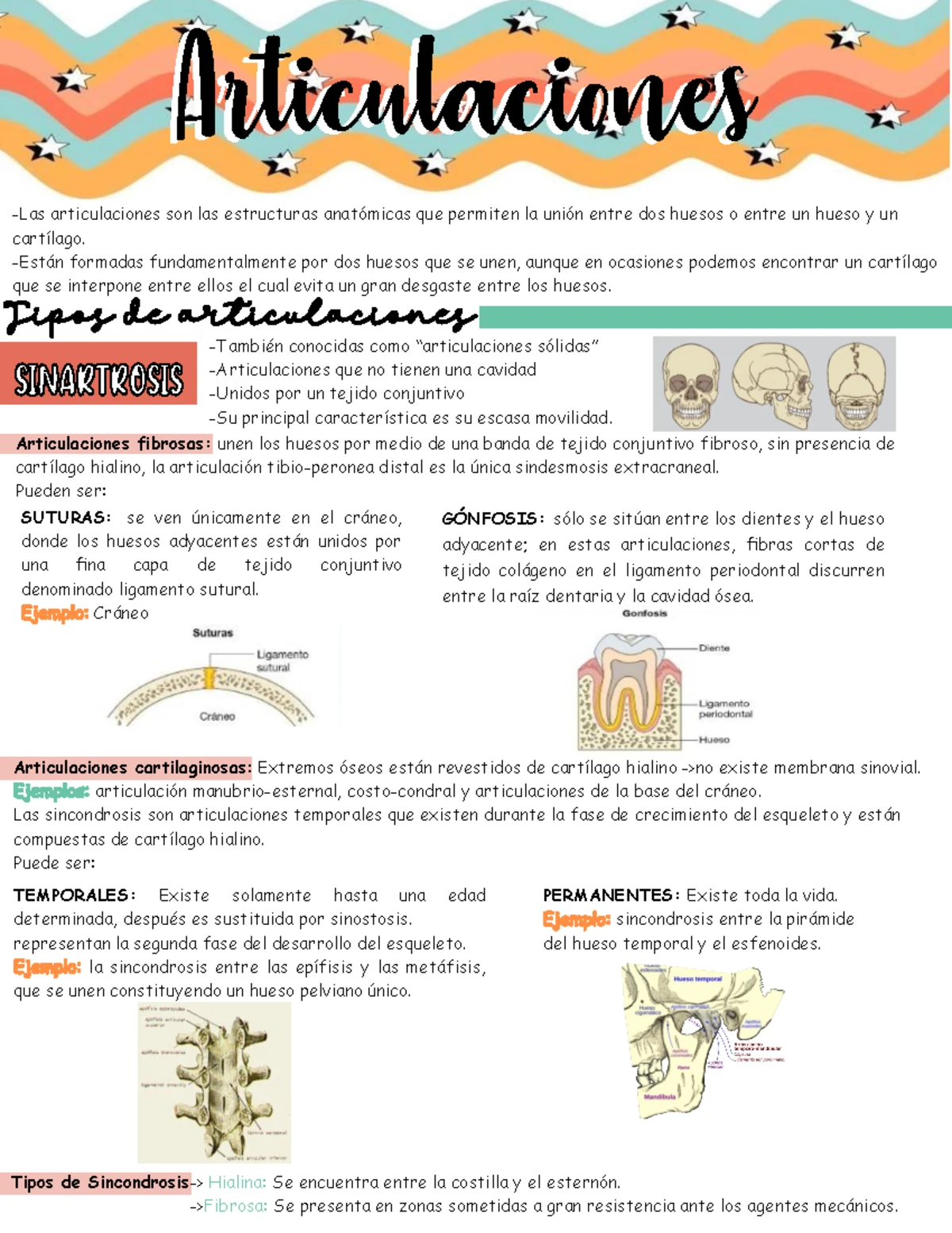 La cresta de los huesos - Estas crestas son importantes en el contexto ...