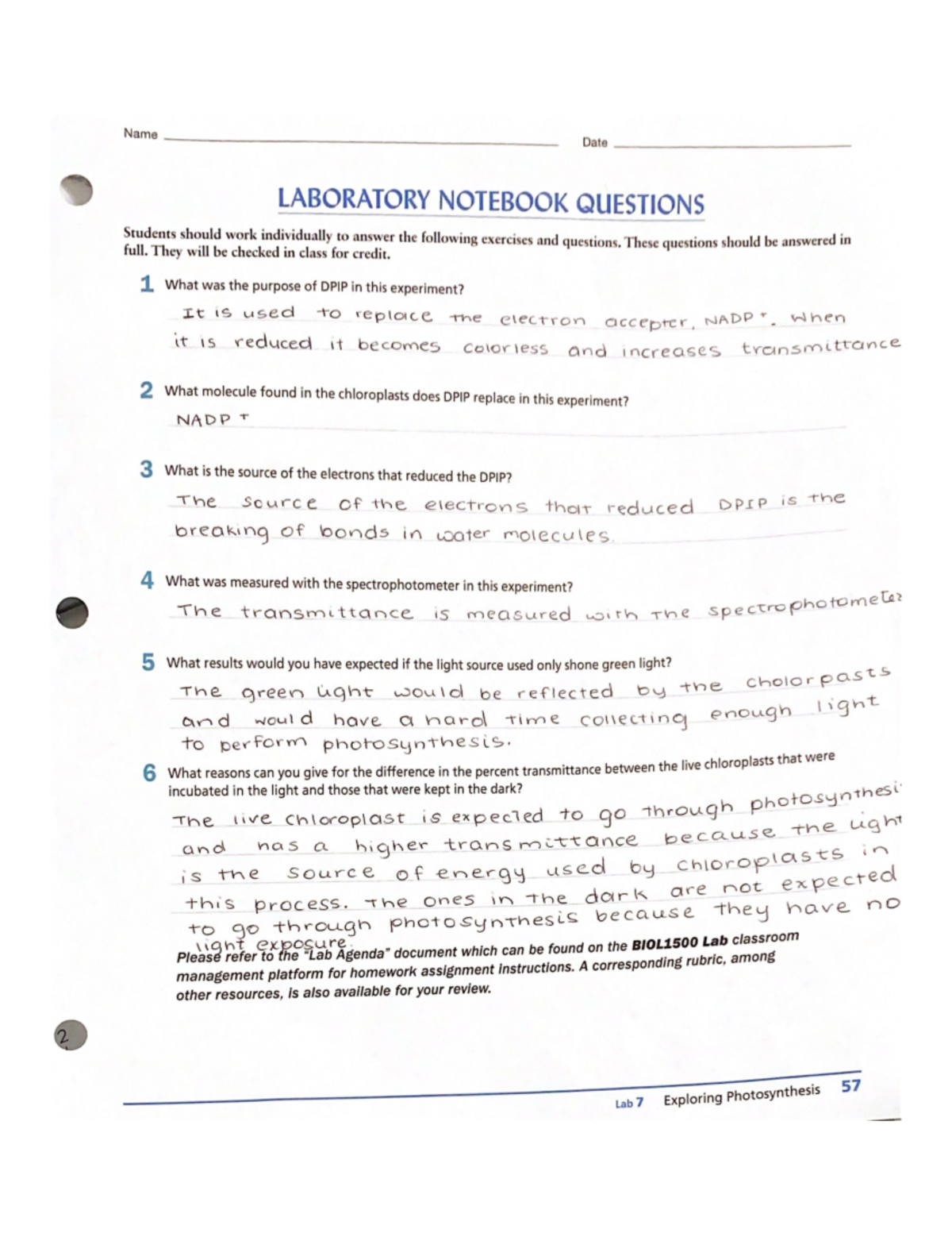 Laboratory Notebook Questions - CHEM 1300 - NSU - Studocu