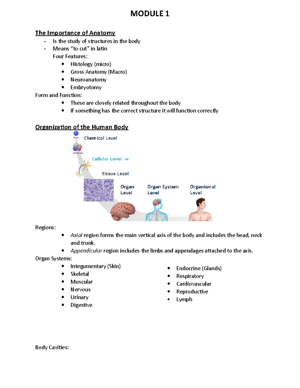 Anatomy - Module 1 - Lecture notes 1 - The Importance of Anatomy - Is ...